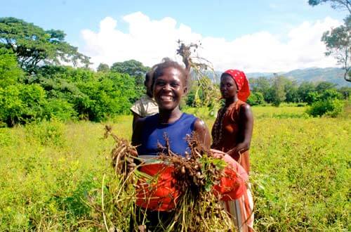 Haitian farmers lauded for Food Sovereignty Work – Caribbean Life