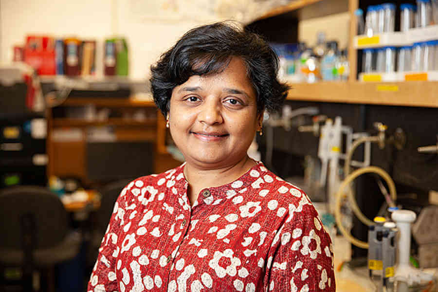 Brooklyn College professor fights cancer by awakening immune system ...