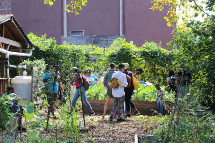 Disbarred Crown Heights lawyer indicted for allegedly providing ...