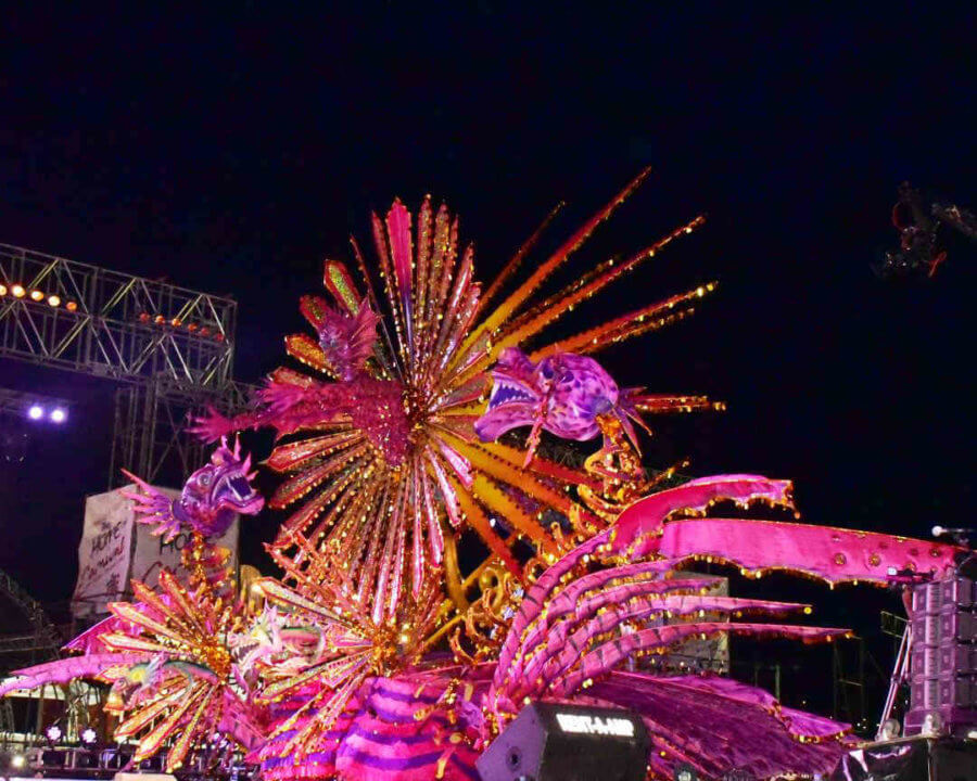 CARNIVAL MADNESS – Caribbean Life