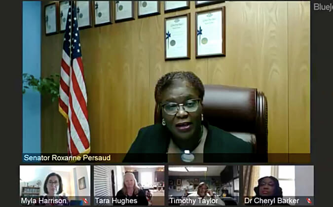 Sen. Roxanne Persaud discusses mental health, wellness at town hall ...