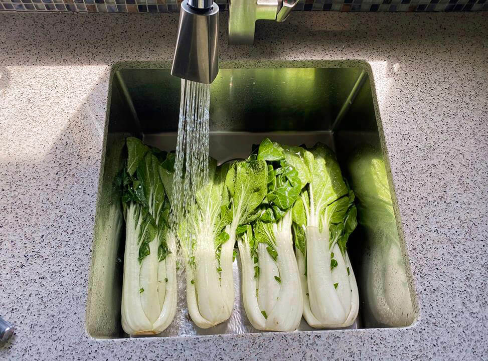Fry Pak Choi With Saltfish – Caribbean Life