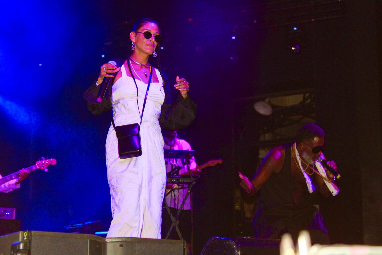 Senate Resolution honors BRIC at 50th Hip-Hop commemoration in Prospect ...