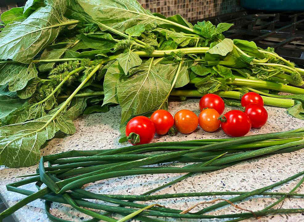 Bhagi (Jamaican Callaloo) Fried Rice – Caribbean Life