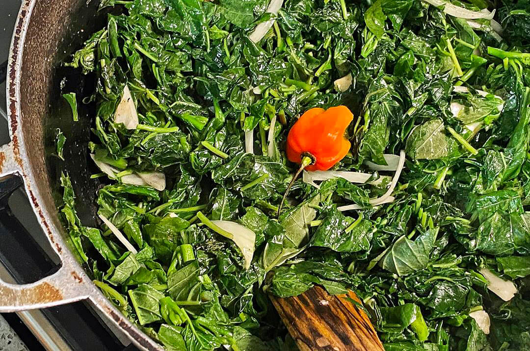 Chorai Bhagi (Jamaican Callaloo) with Stewed Chicken – Caribbean Life