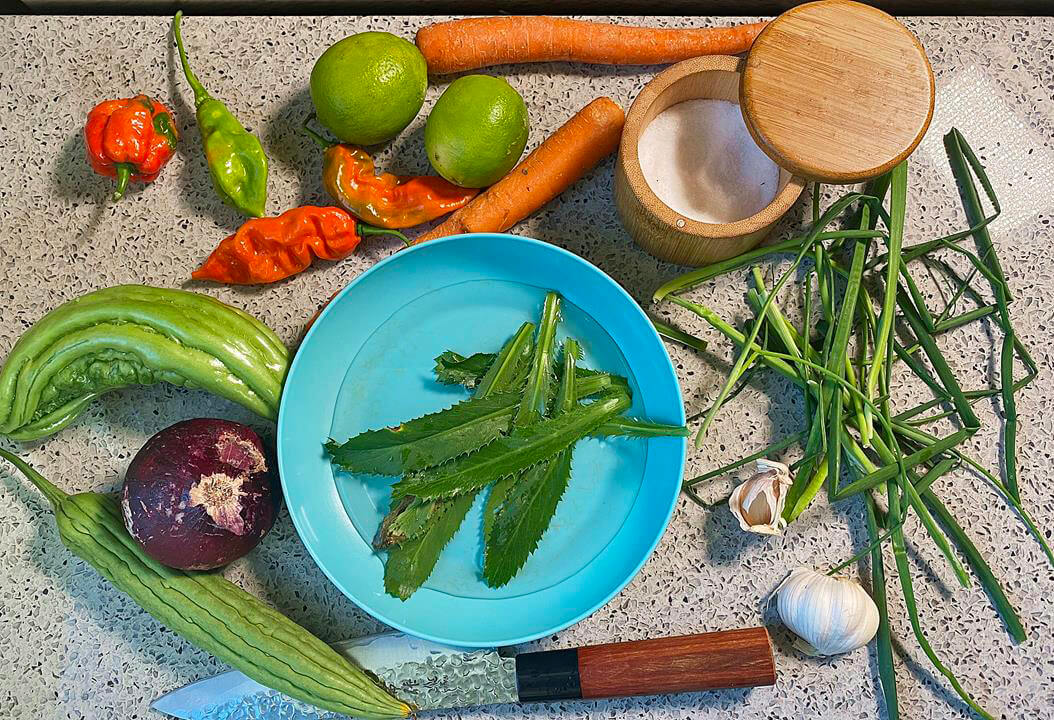 Carilie (bitter melon) Mother In Law – Caribbean Life