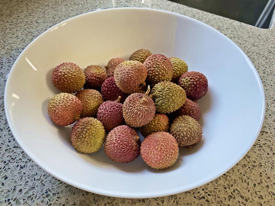 Lychee Chow – Caribbean Life