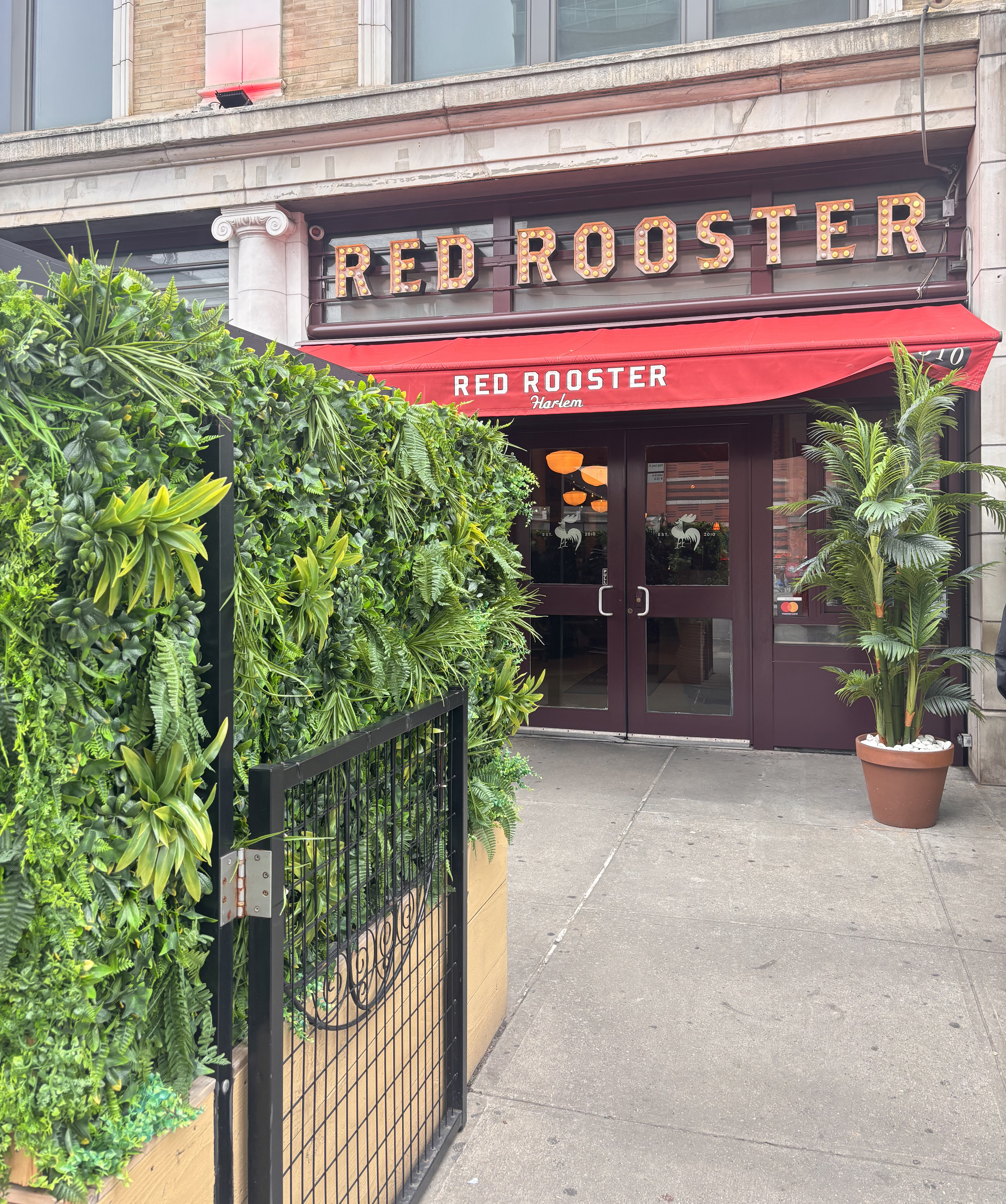 Red Rooster Harlem: Where food, music, and community thrive – Caribbean ...