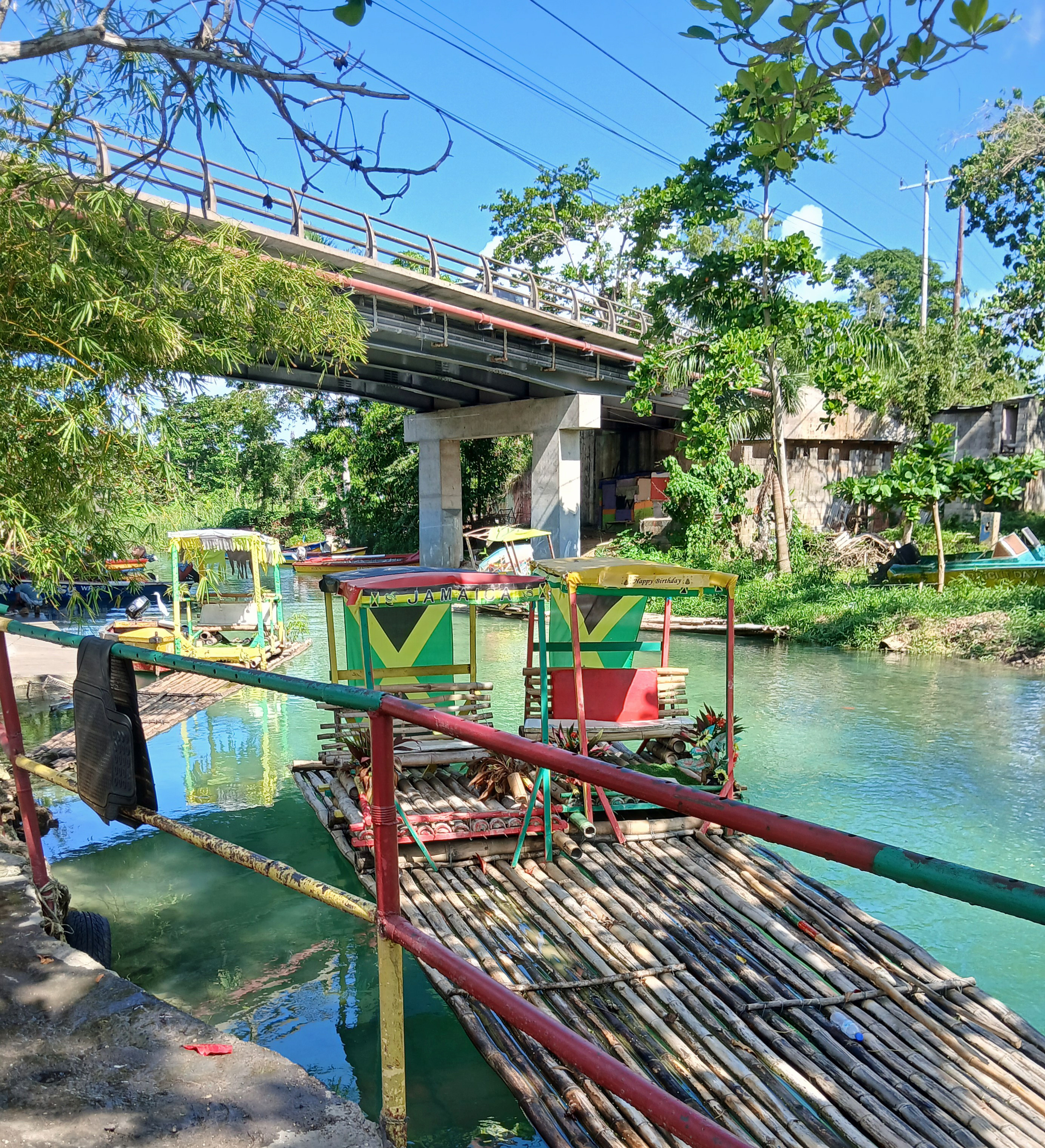 Where trees fell, hope rose: Jamaica endures after Hurricane Melissa ...